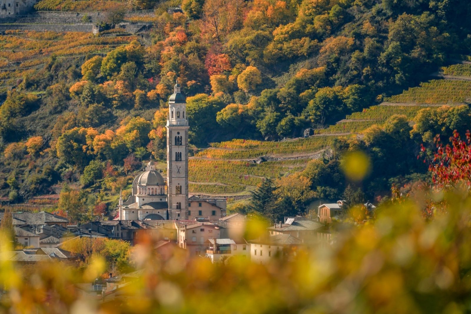 Teglio Turismo - Benvenuto a Teglio: luogo di Natura, Storia e sapori